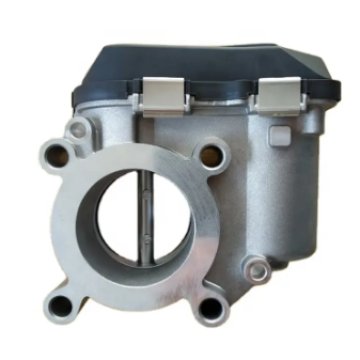 Throttle Bodies for European car for VW